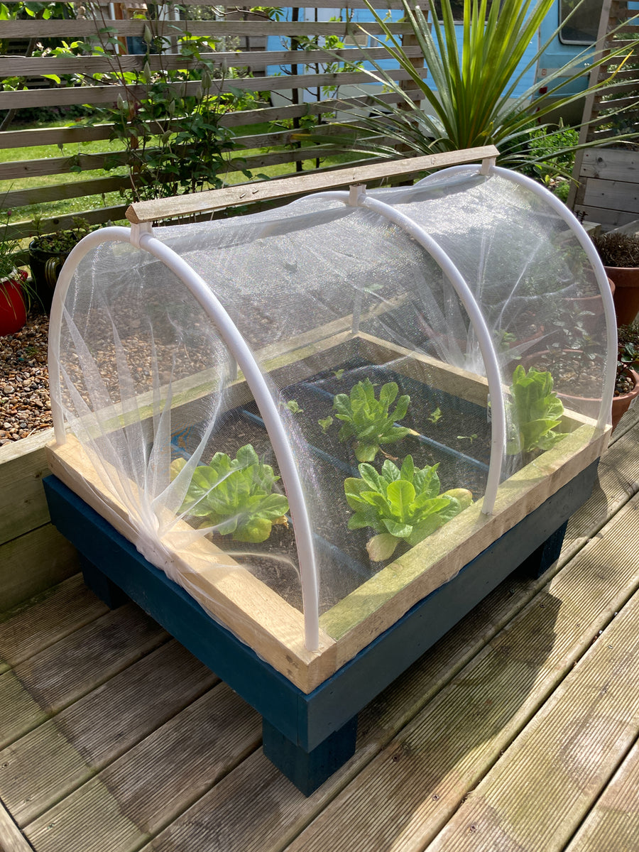 Allotment love – Making a big mesh tunnel on my plot and planting bras ...